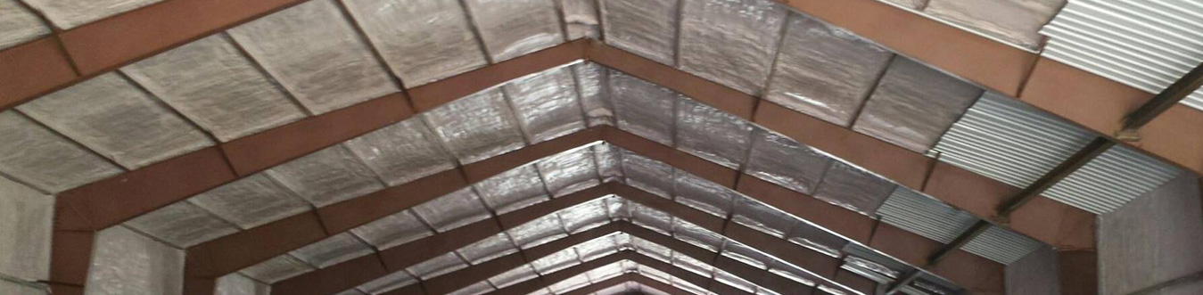 Learn About Delmarva Insulation Services in Delaware